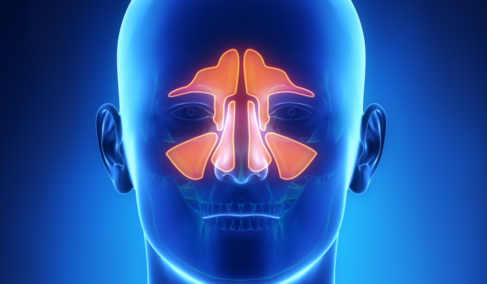 CPT for ENTs | American Academy of Otolaryngology-Head and Neck Surgery