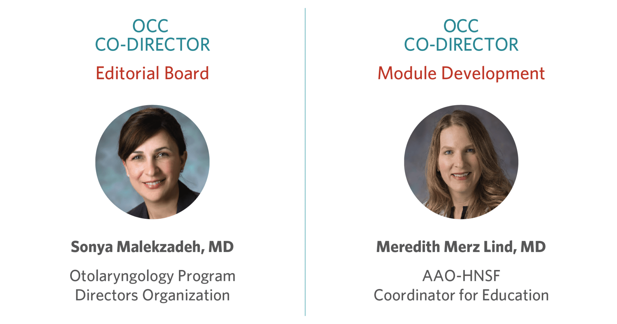 Otolaryngology Core Curriculum Leadership - American Academy of Otolaryngology-Head and Neck ...